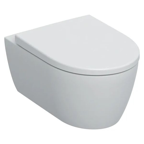 Icon Wall Mounted Rimless Wc With Seat Cover Sanipex Group - Global